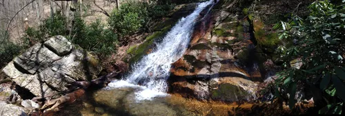 10 Best Hikes and Trails in Unaka Mountain Wilderness | AllTrails