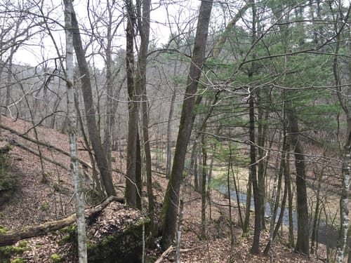 Best Hikes and Trails in White Pine Hollow State Forest | AllTrails