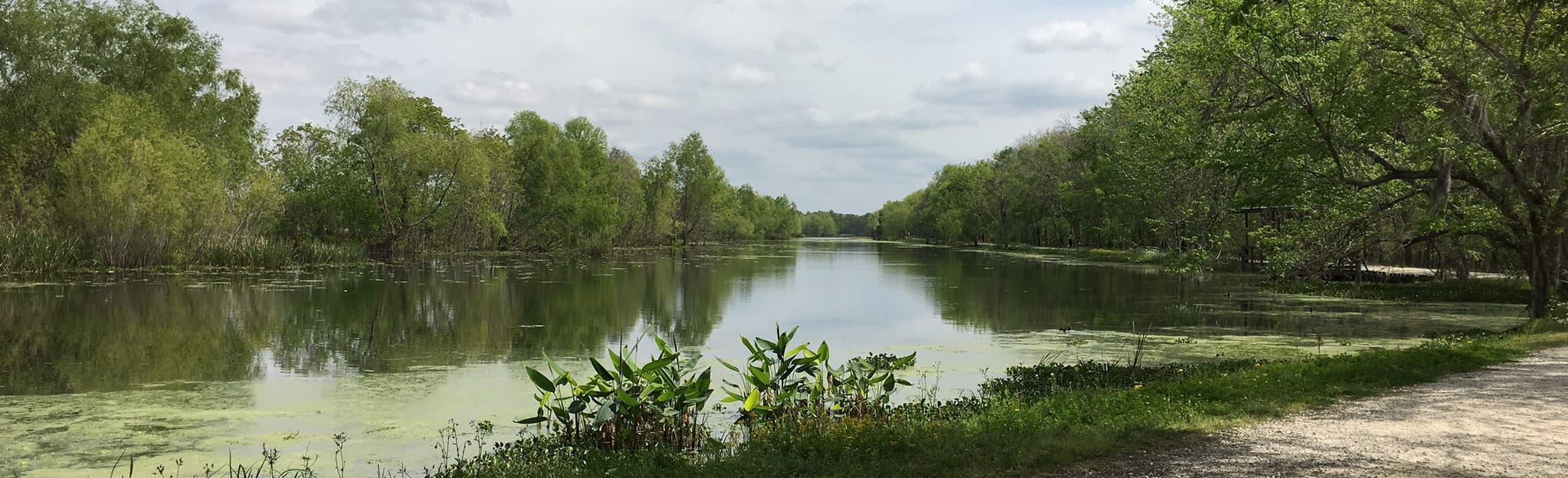 Pilant Lake to Bluestem Trail and Riverview Trail, Texas - 155 Reviews ...