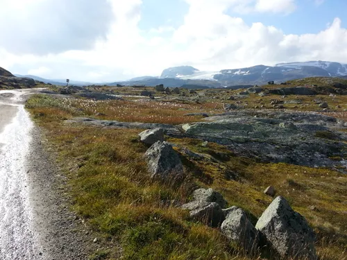 10 Best Trails and Hikes in Finse | AllTrails