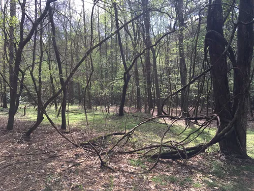 10 Best Trails and Hikes in Apex | AllTrails