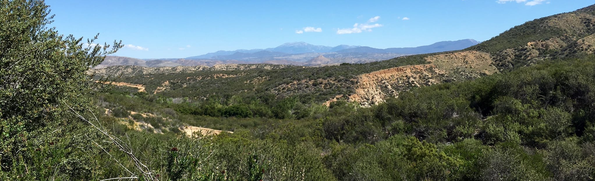 Agua Tibia Mountain via Dripping Springs Trail - California | AllTrails