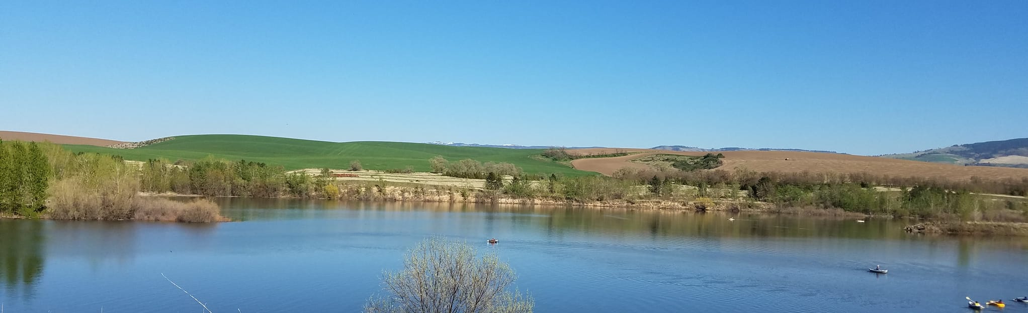 Bennington Lake Trail, Washington - 342 Reviews, Map | AllTrails