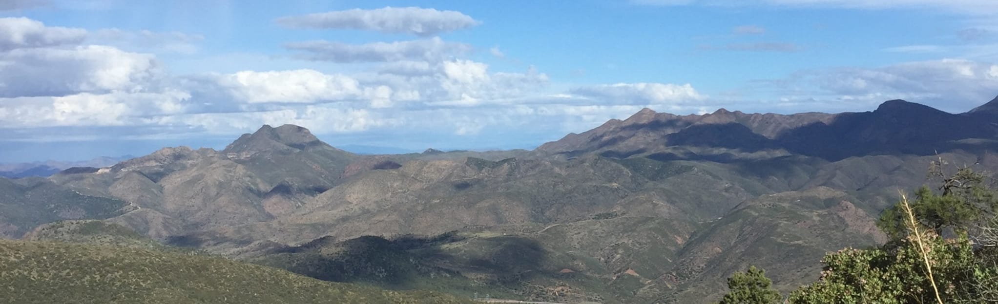 Mount Ord FR 626, Arizona - 78 Reviews, Map | AllTrails