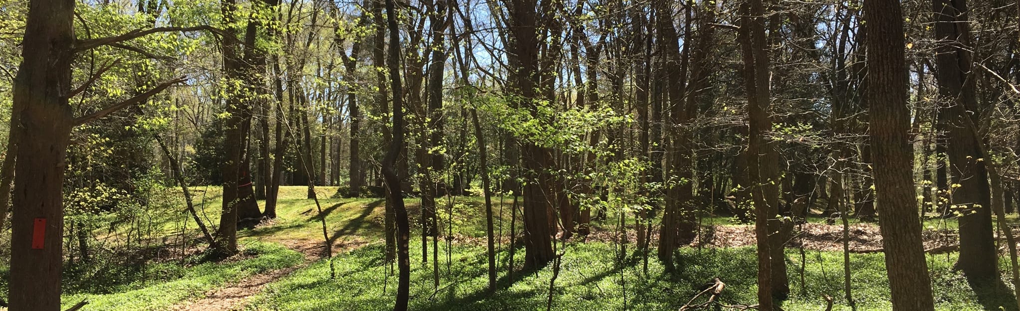 Old Plantation Trail | Map, Guide - Virginia | AllTrails