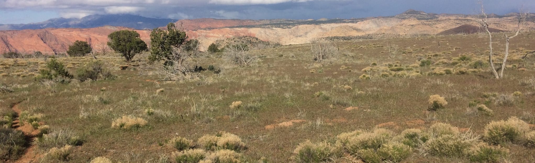 Algers and Lava Ridge, Utah - 15 Reviews, Map | AllTrails