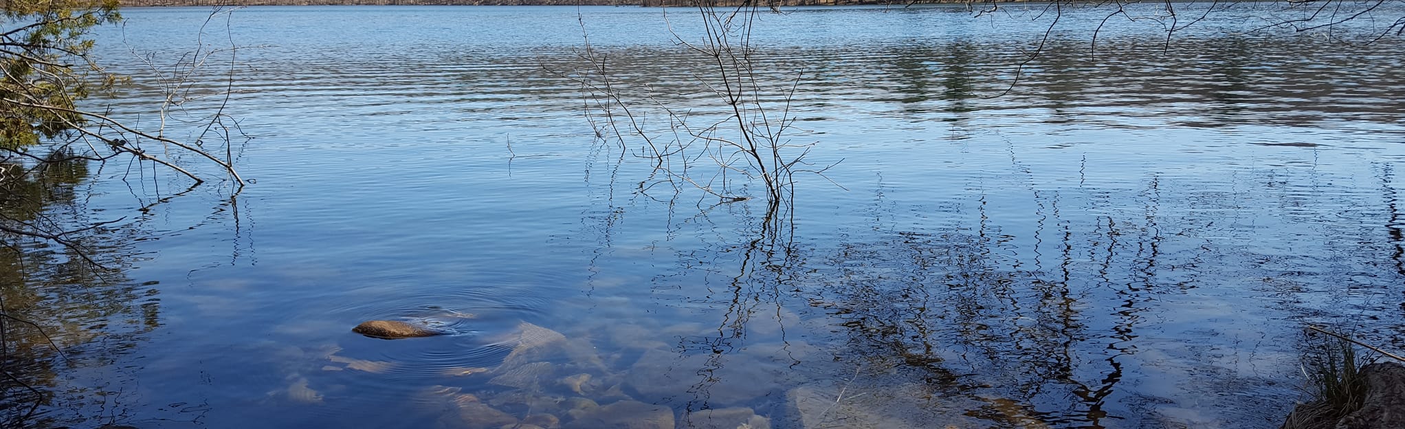 Crescent Lake and Metacomet Trail Loop: 575 Reviews, Map - Connecticut ...