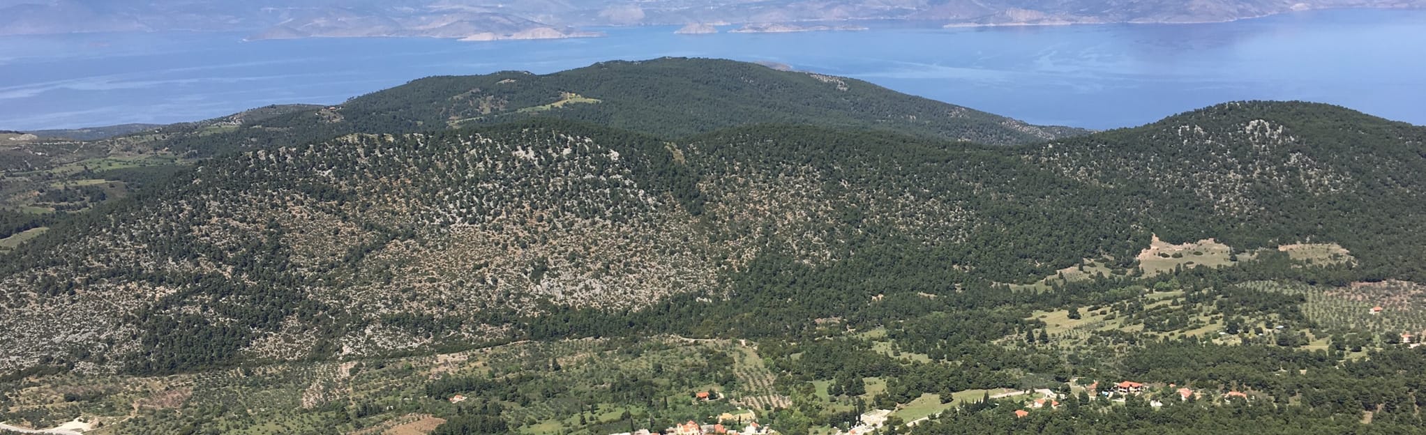 Pisia - Pintiza - Rachi Koukounarthi Schleife | AllTrails