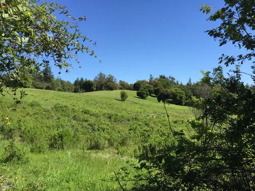 10 Best Hikes and Trails in Wunderlich County Park | AllTrails