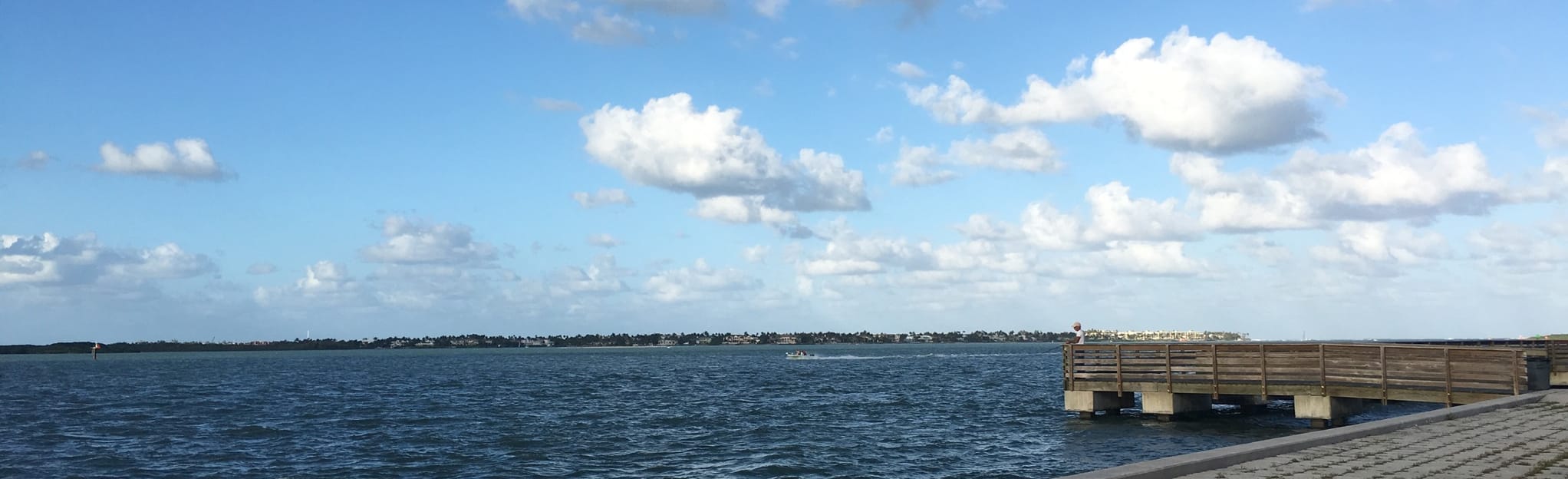 Twin Rivers Park Loop: 41 fotos - Flórida | AllTrails