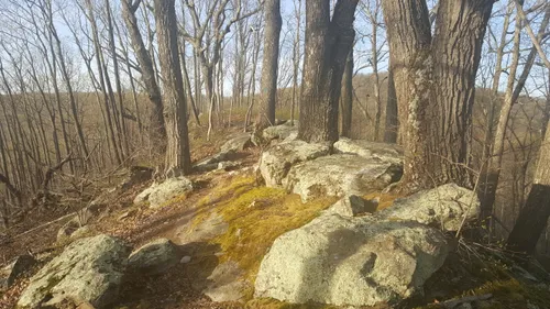 10 Best Hikes and Trails in Kanawha State Forest | AllTrails