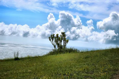 Best Hikes and Trails in San Ramon Reserve | AllTrails