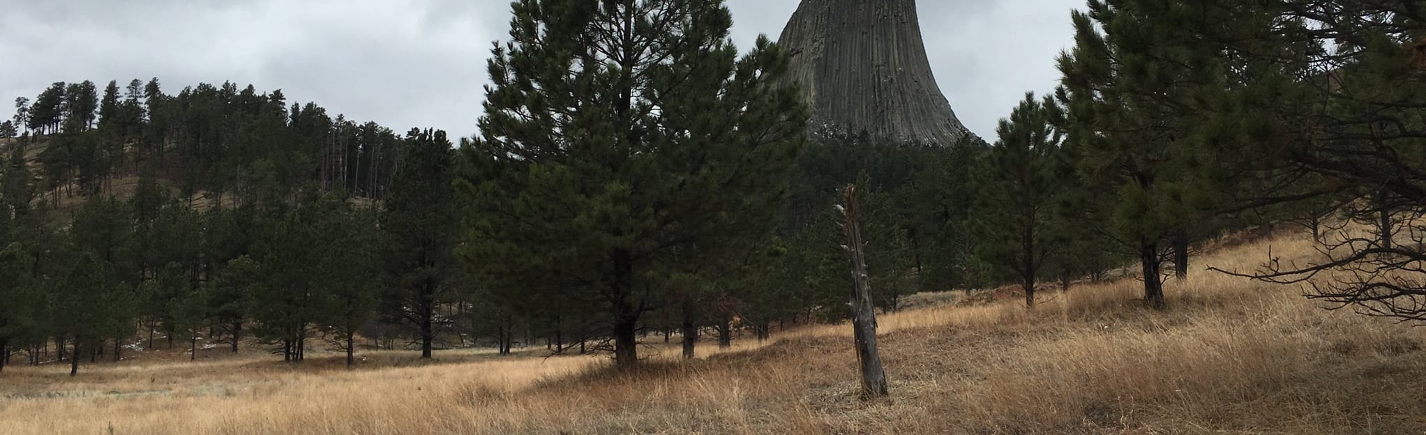 Joyner Ridge, Red Beds, and Devils Tower Trail: 4.063 foto's - Wyoming | Wandelen - AllTrails