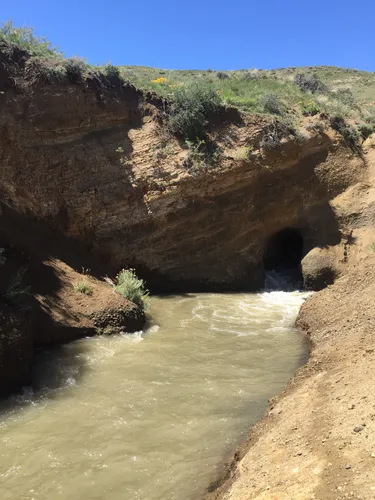 10 Best Trails and Hikes in Reno | AllTrails