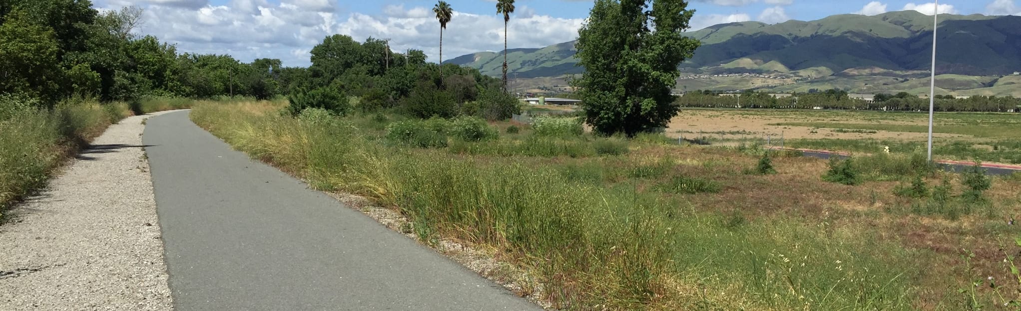 Bay Trail: Alviso to Newark, California - 38 Reviews, Map | AllTrails