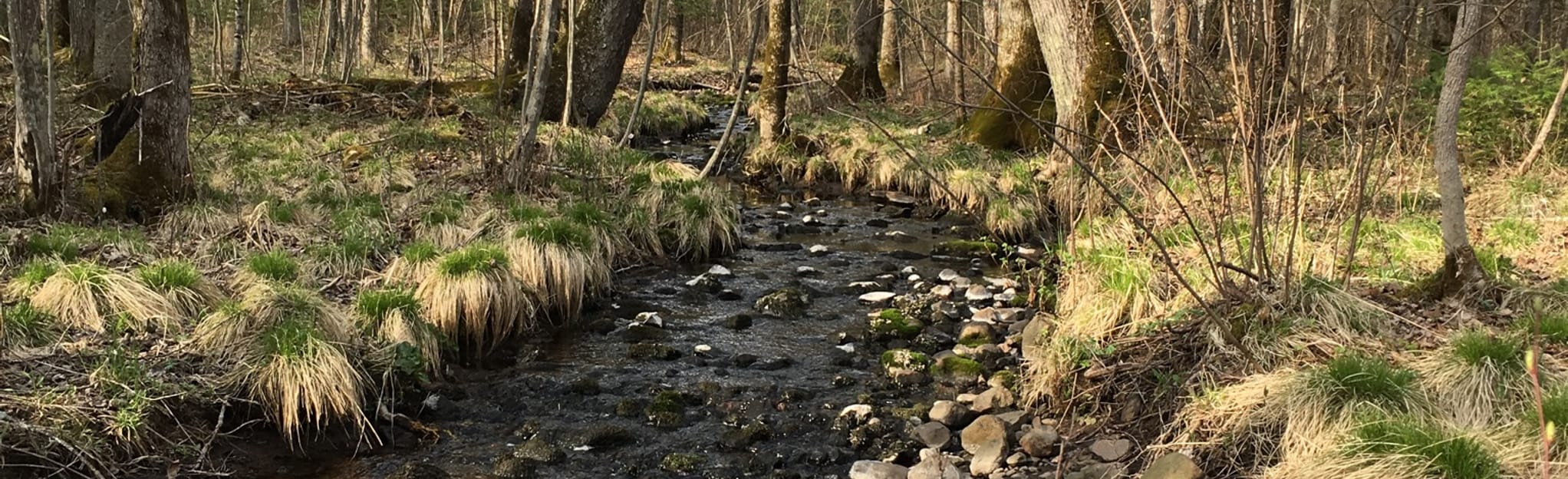 Mondeau Flowage via Ice Age Trail: 26 Reviews, Map - Wisconsin | AllTrails