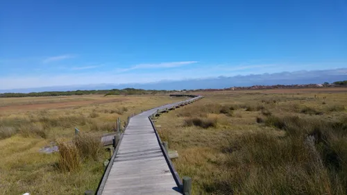 Best Bird Watching Trails in Fisherhaven | AllTrails
