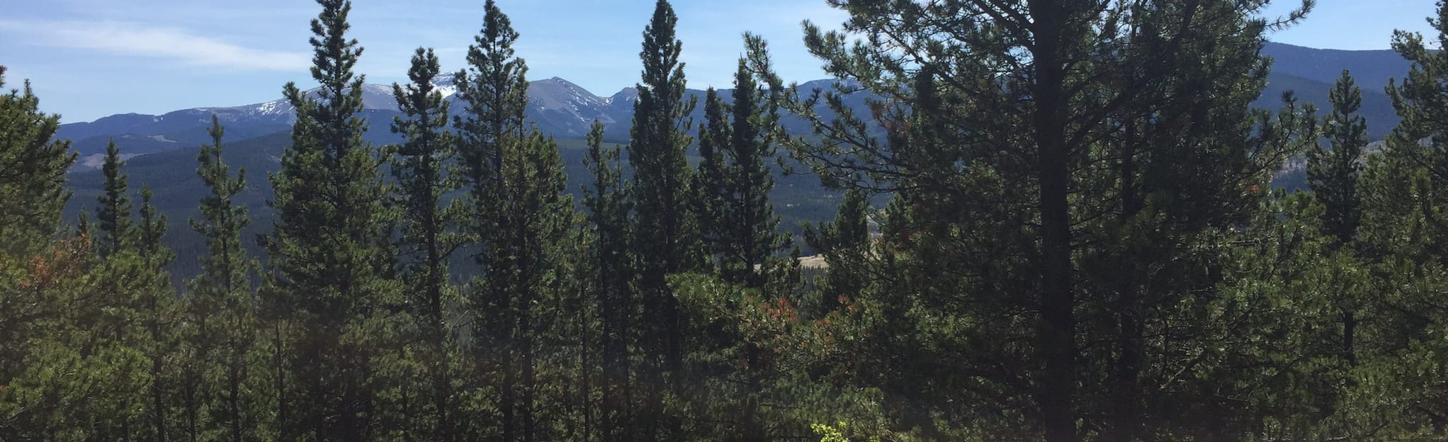 Ole Buck Loop, Alberta, Canada - 199 Reviews, Map | AllTrails