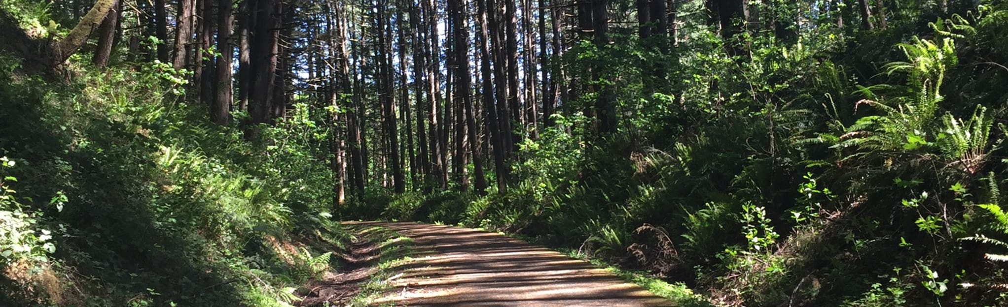 Dorena Lake Loop: 30 Reviews, Map - Oregon | AllTrails