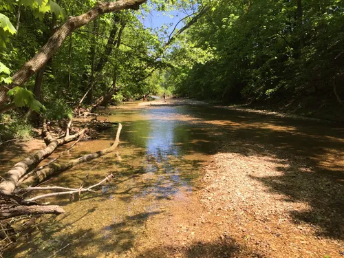 Best Hikes and Trails in Mastodon State Historic Site | AllTrails