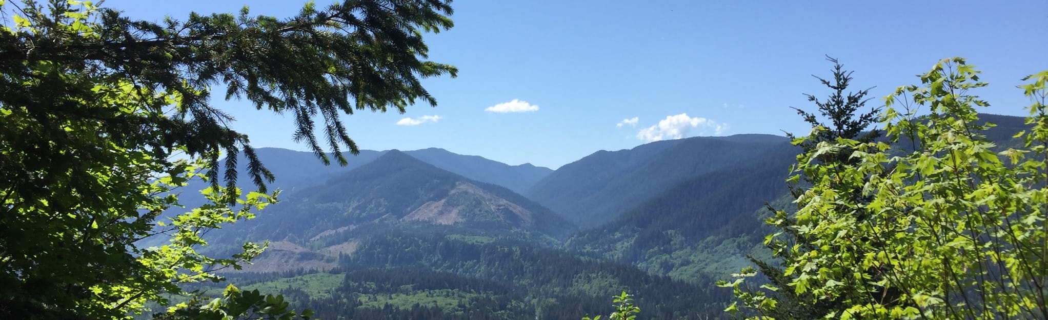 Sandy Ridge Hide and Seek and Rock Drop Loop Trail, Oregon - 30 Reviews ...