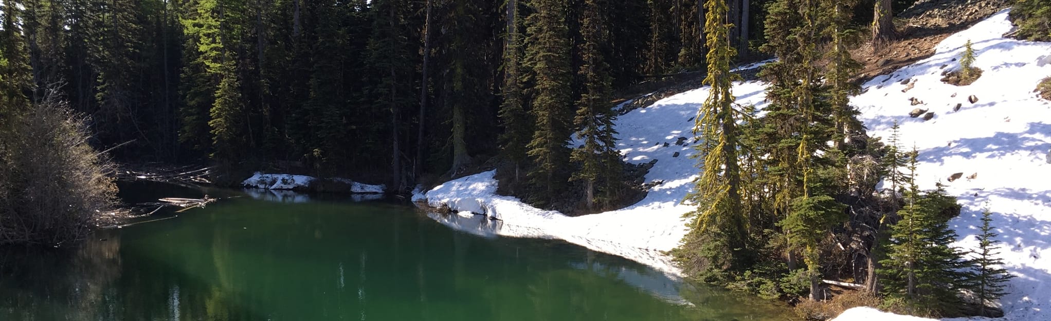 Mission Peak Via Marion Lake: 15 Reviews, Map - Washington | AllTrails