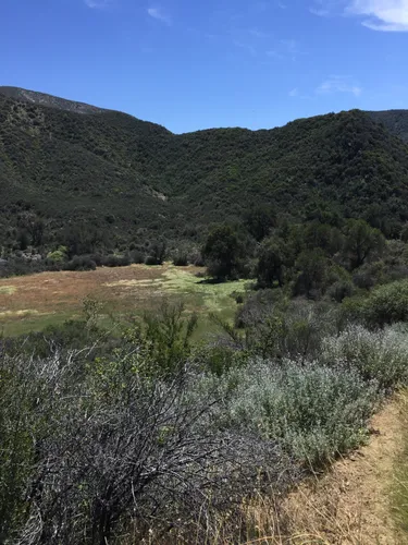 Best Backpacking Trails in Santa Barbara | AllTrails