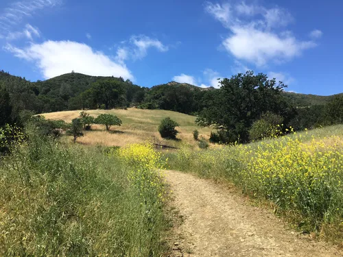 10 Best Historic Site Trails in Mount Diablo State Park | AllTrails