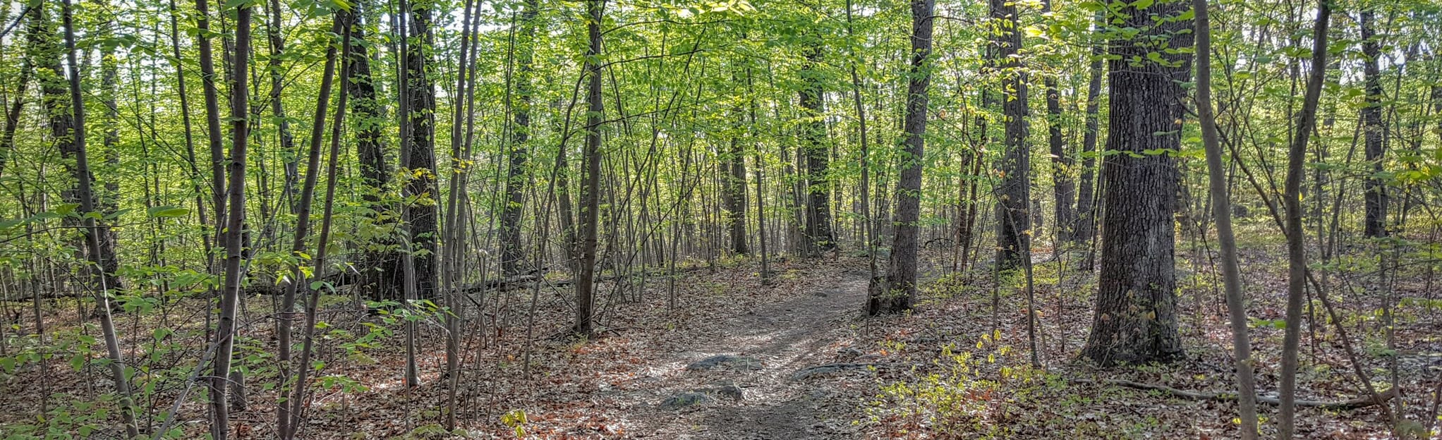 Smiley Face Trail, Sprague Trail, and Holdredge Trail Loop ...