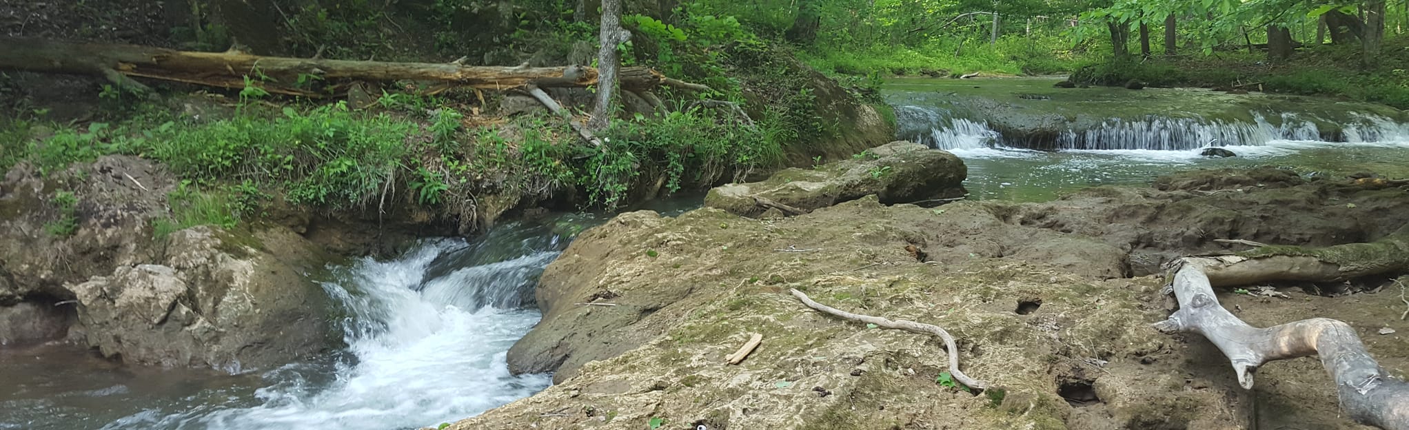 Warriors' Path Loop Trail, Tennessee - 105 Reviews, Map | AllTrails