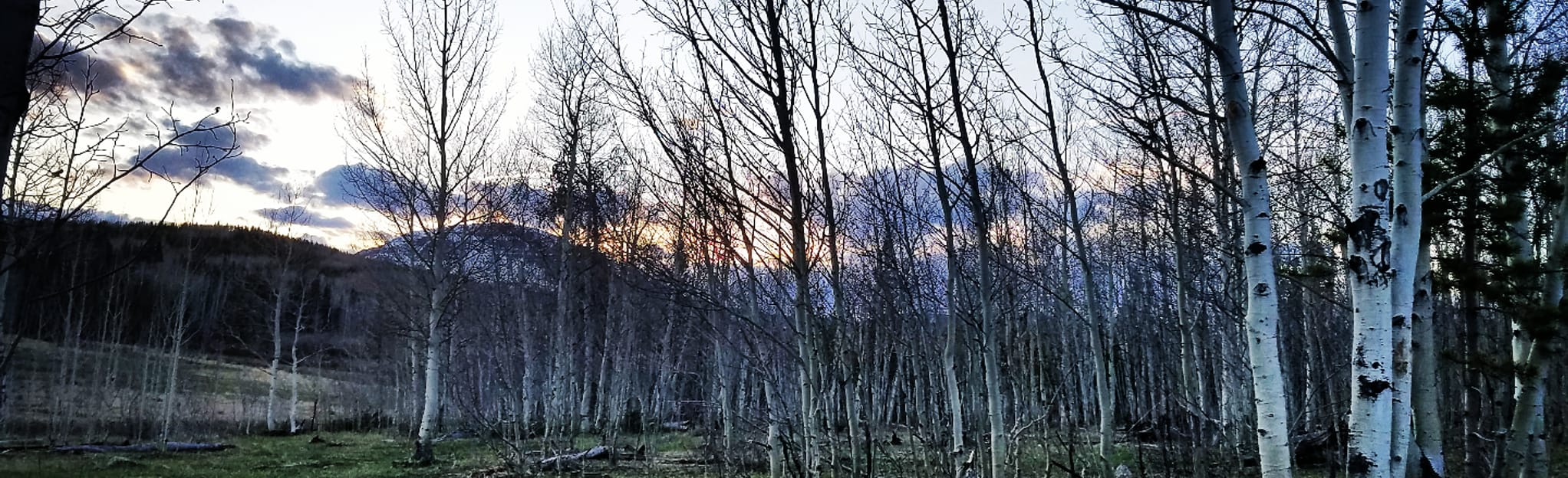 Flat Top Mountain and Edge Lake Trail, Colorado - 5 Reviews, Map ...