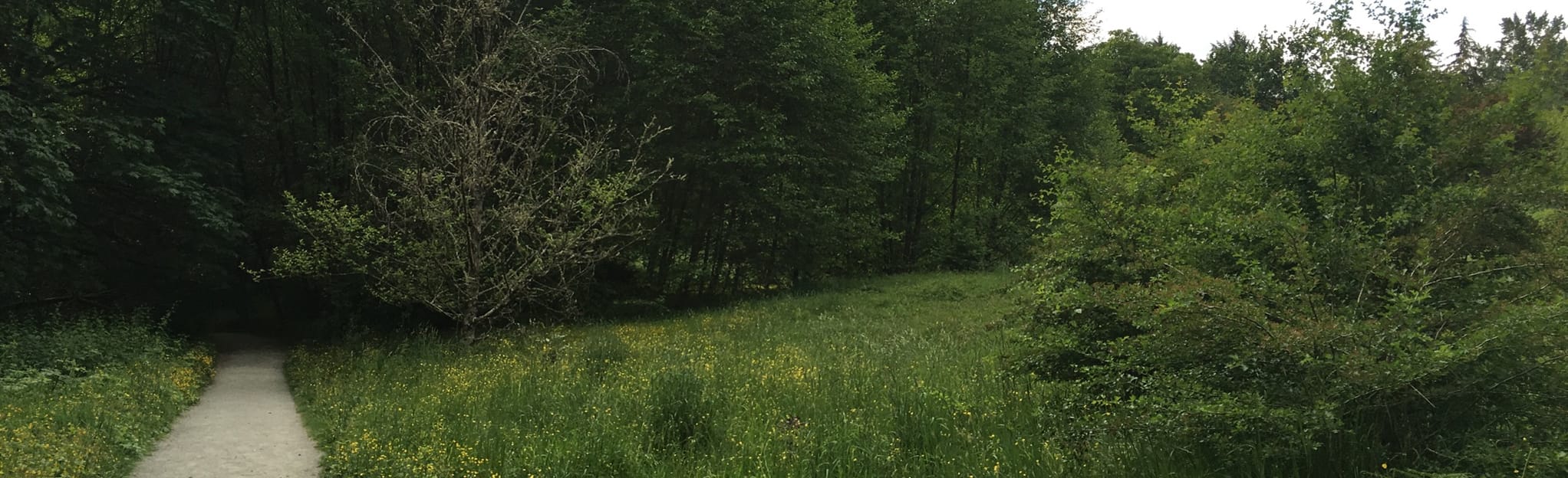 Serpentine Loop Trail, British Columbia, Canada - 173 Reviews, Map ...