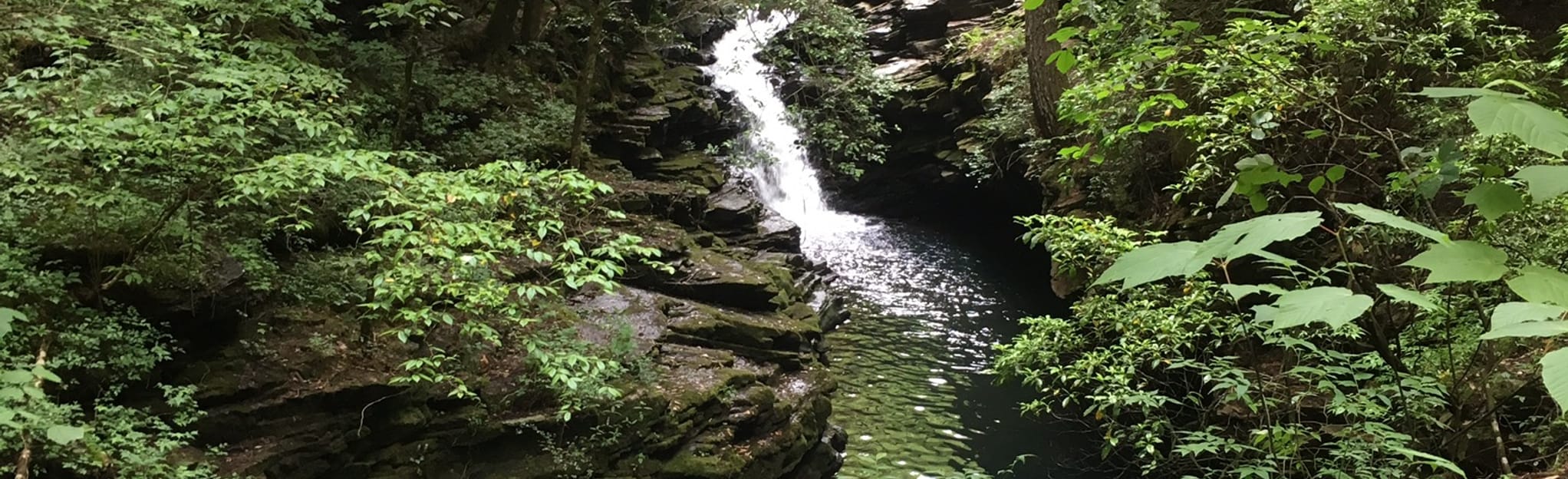Fiery Gizzard: Grundy to Foster Falls, Tennessee - 551 Reviews, Map ...