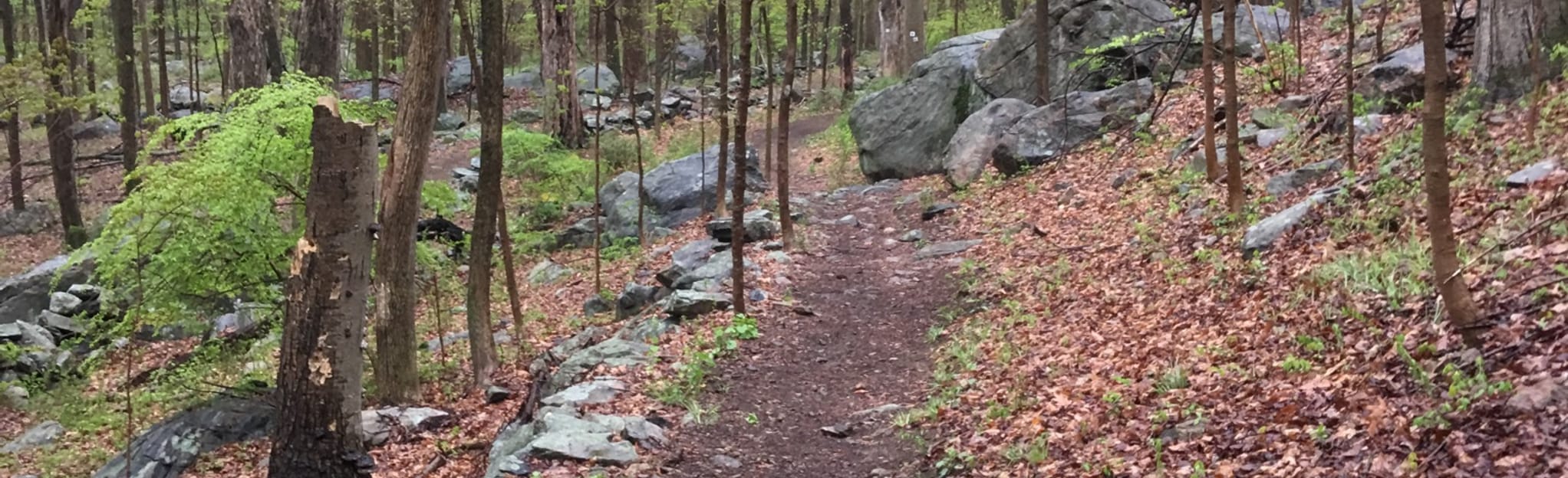 BRLA and Leatherman Connector Loop, New York - 59 Reviews, Map | AllTrails