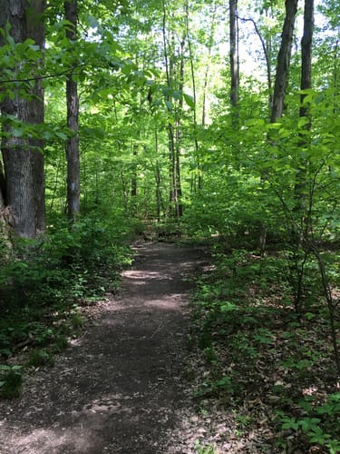 Best 10 Hikes and Trails in Brecksville Reservation | AllTrails