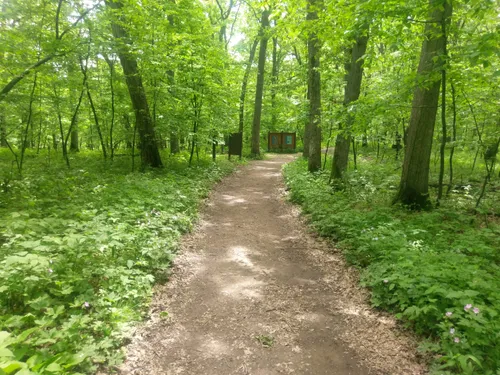 Best Hikes and Trails in Lake Maria State Park | AllTrails