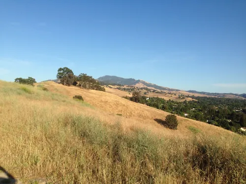 Best Hikes and Trails in Lime Ridge Open Space | AllTrails