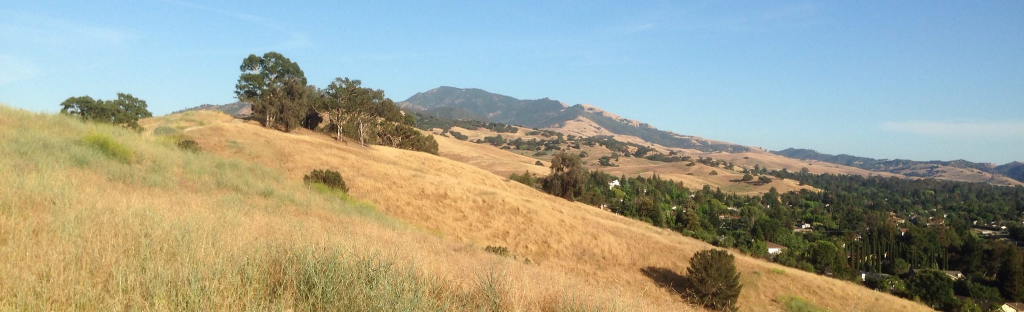 Jane Bulmun Grove Overlook and Rearing Horse Hill, California - 301 ...