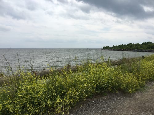 Best Hikes and Trails in Greenbury Point Conservation Area | AllTrails