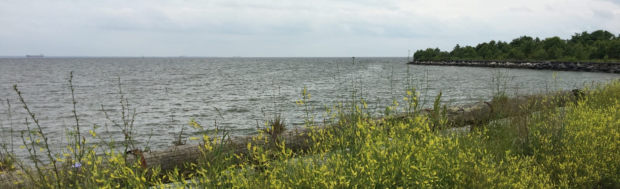 Greenbury Point Trail, Maryland - 928 Reviews, Map | AllTrails