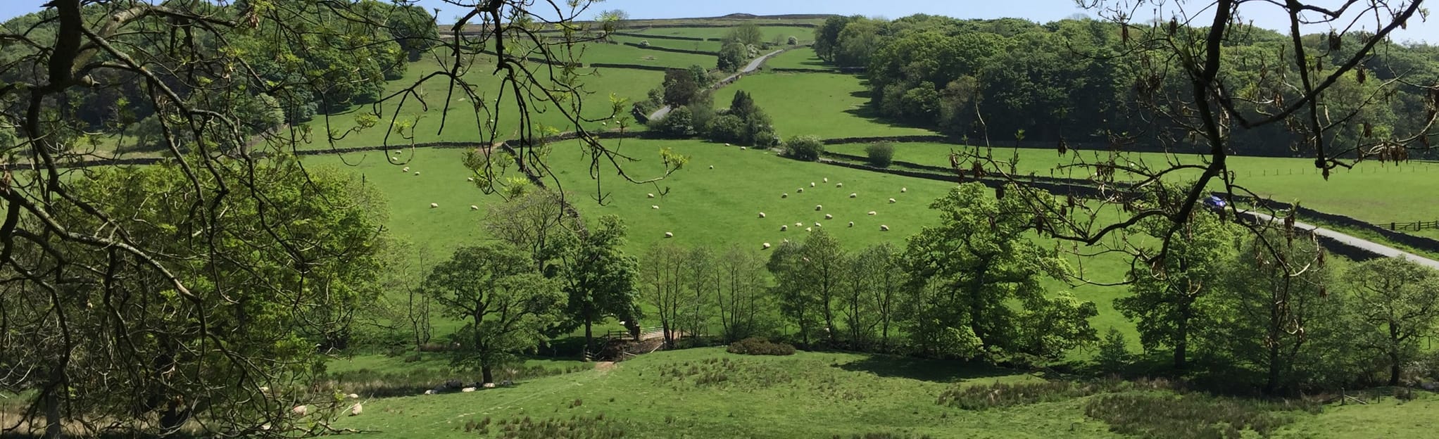 Danby, Oakley Side and Clitherbeck: 27 Reviews, Map - North Yorkshire ...