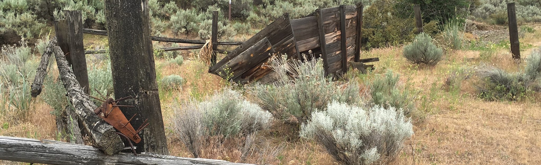 Wildflower Loop Trail, Washington - 144 Reviews, Map | AllTrails