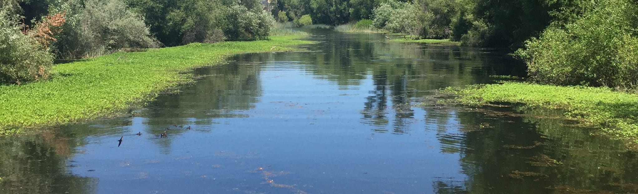 Kelsey Creek Trail, California - 99 Reviews, Map | AllTrails