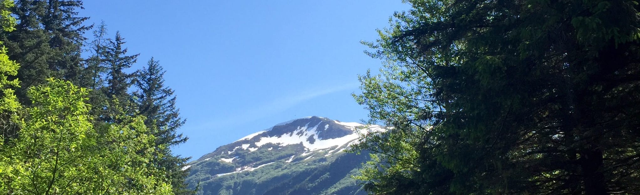 Gold Creek Flume Trail : 201 Photos - Alaska | Randonnée | AllTrails