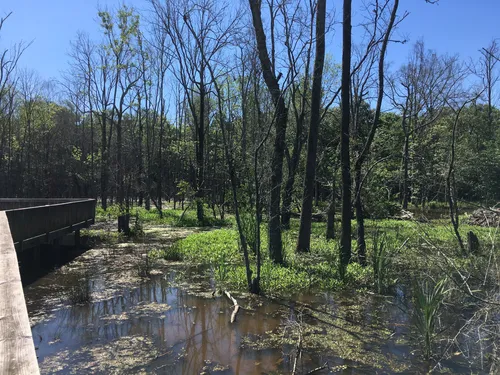 10 Best Trails and Hikes in Apex | AllTrails