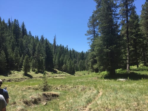 2023 Best 10 Trails and Hikes in Happy Jack | AllTrails