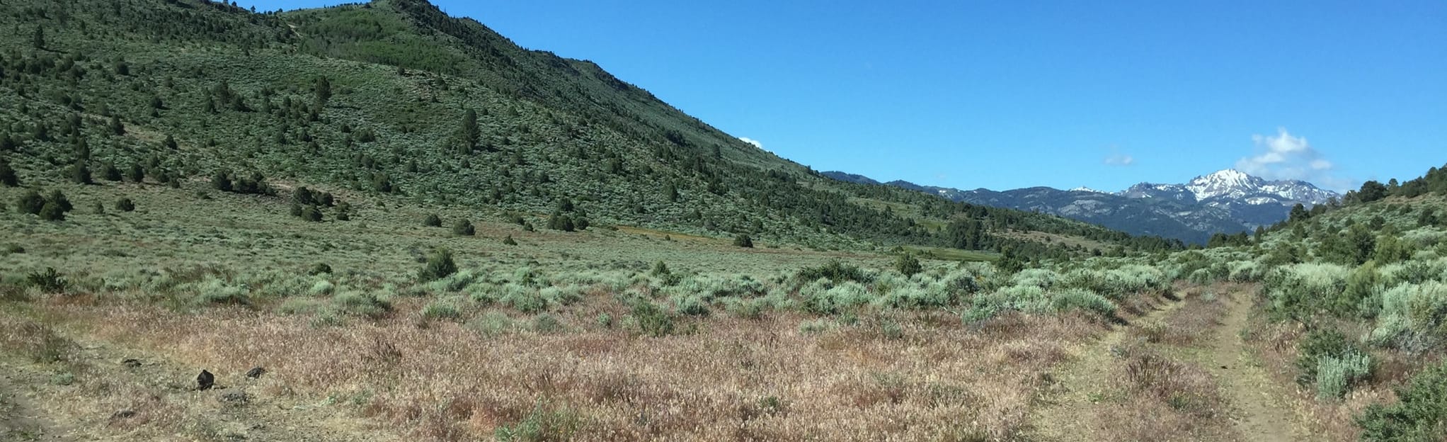 Barney Riley to Carson River Hot Springs - California | AllTrails