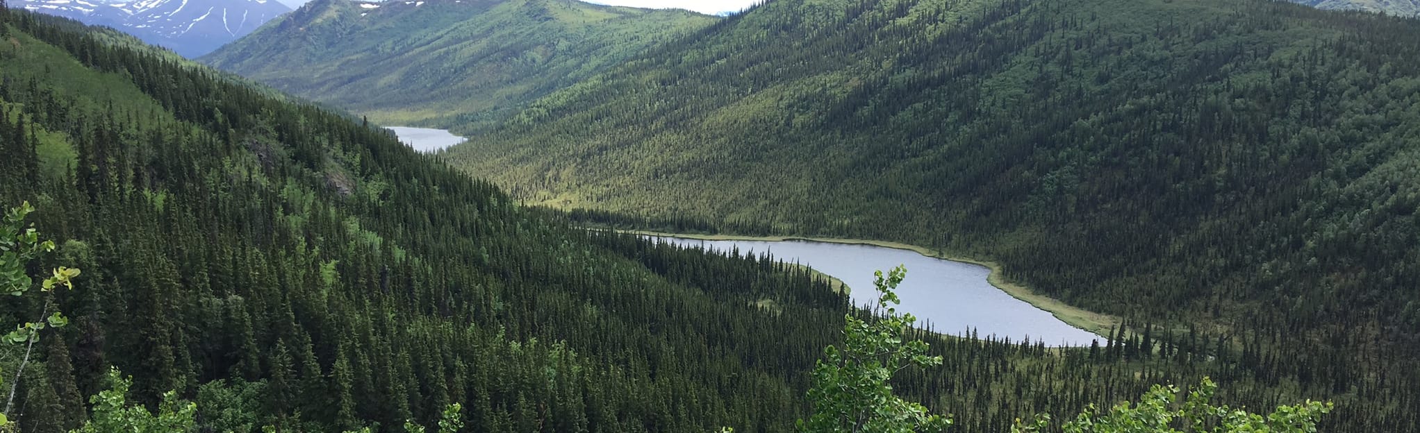 Triple Lakes Trail: North to South: 348 Reviews, Map - Alaska | AllTrails