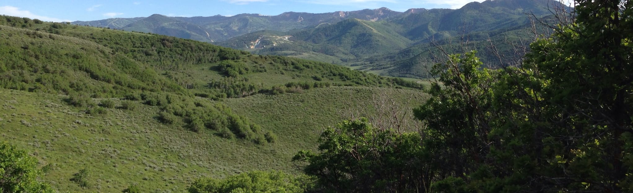 Jeremy, Flying Dog and Preserve Loop, Utah - 158 Reviews, Map | AllTrails