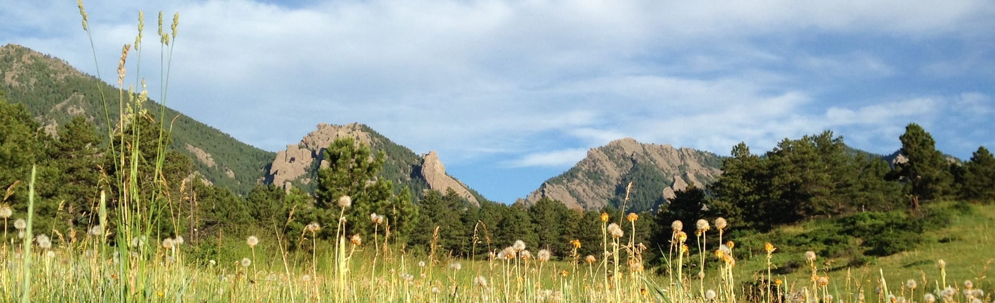 Shanahan, Big Bluestem and Mesa Trail Loop, Colorado - 846 Reviews, Map ...